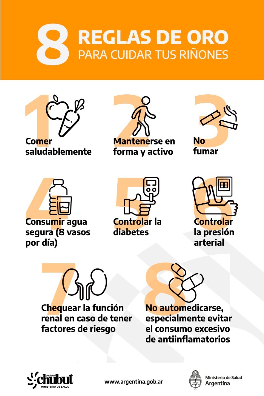 Día Mundial del Riñón: promueven 8 reglas de oro para cuidar los riñones