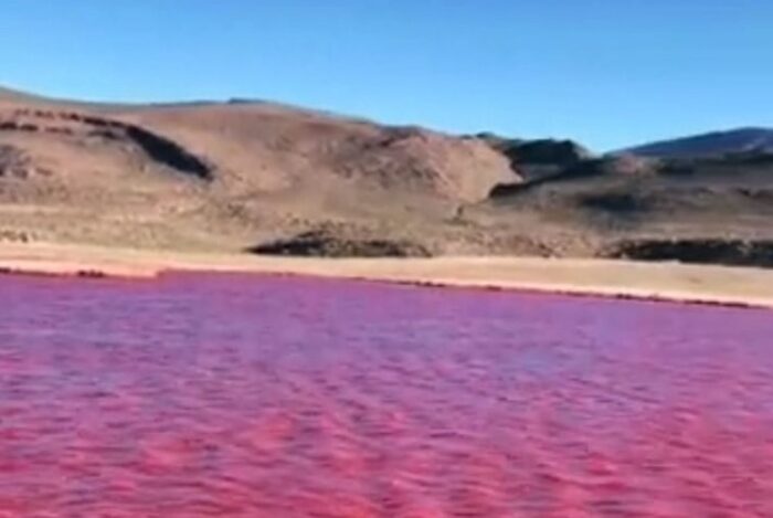 De no creer: el río Nilo se tiñó de color sangre, como lo relata la Biblia